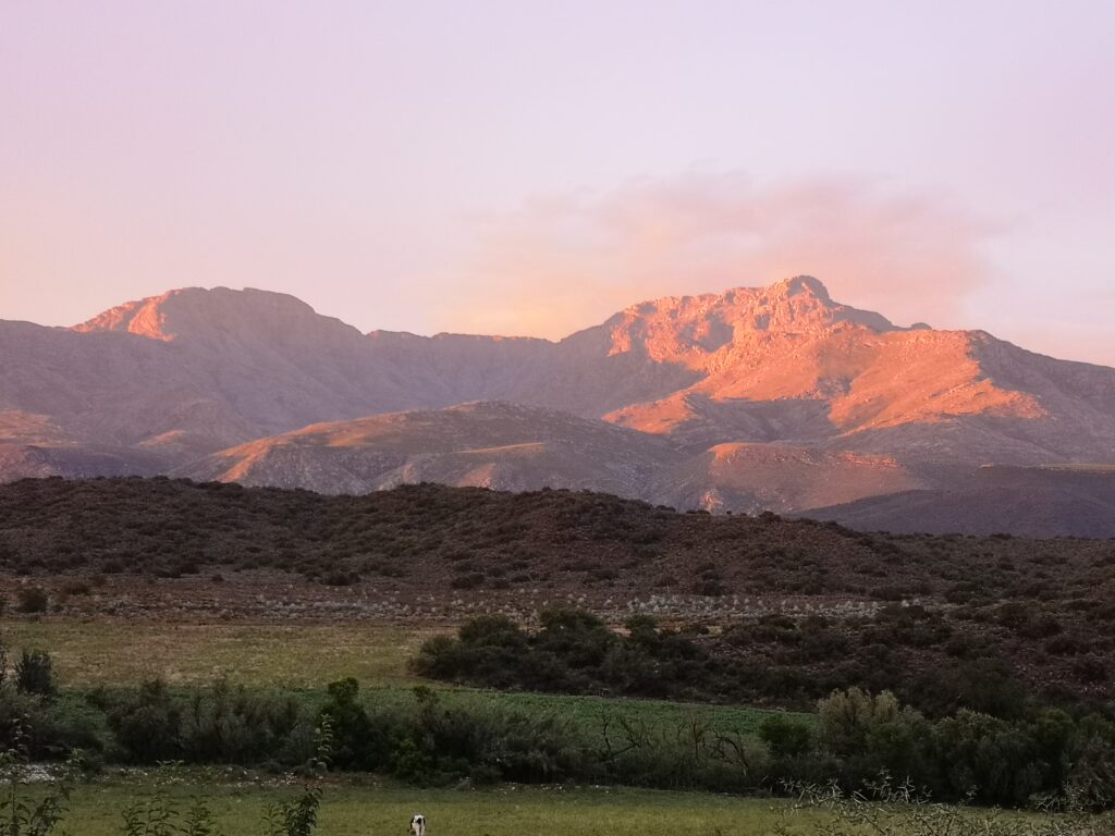 Swartberg Container Cottages - Eden Eco Cottages